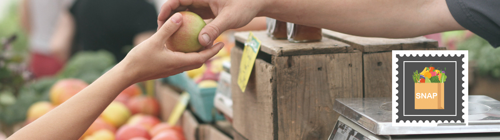 SNAP Food Stamps | Central Pennsylvania Food Bank